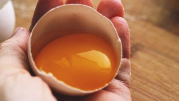 เบต้ากลูแคน (Beta Glucan) คืออะไร สรรพคุณ เสริมภูมิคุ้มกันได้จริงไหม? 2566 - BIOCIAN