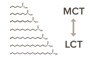 MCT Oil (ไขมันสายกลาง) คืออะไร มีประโยชน์อย่างไรบ้าง? 2567 - BIOCIAN